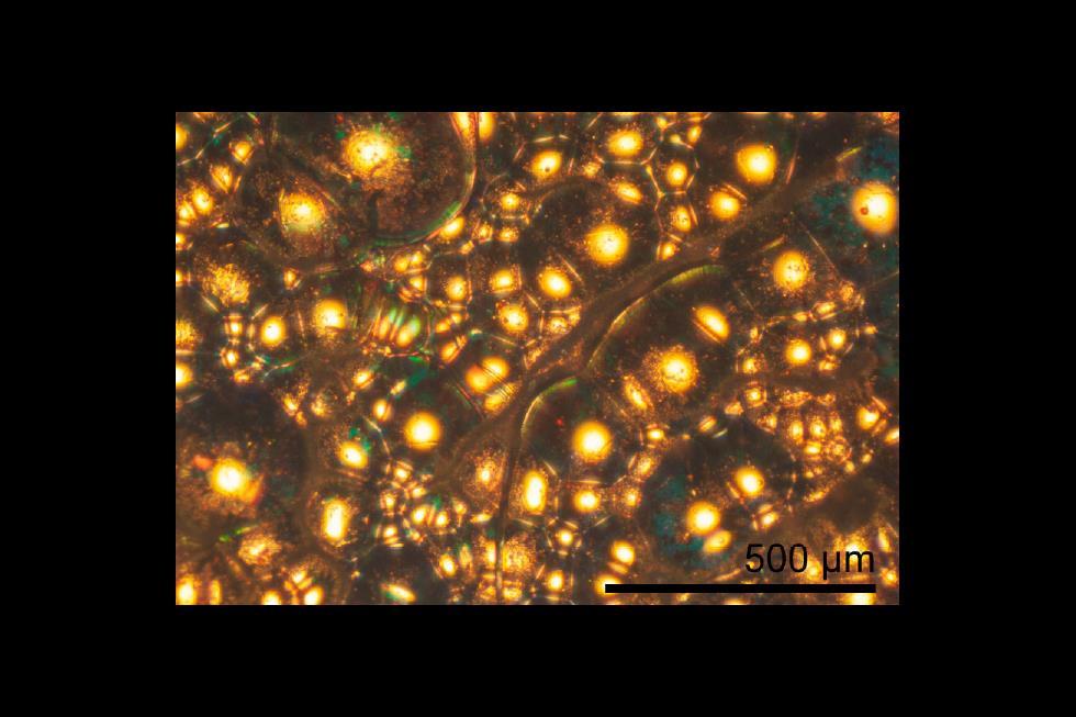 Ancient Roman glass fragment changed from green to gold over time ...